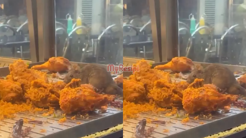 Tular Tikus Selamba Makan Ayam Goreng, MPAJ Batalkan Lesen Restoran ...
