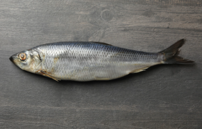 Kenali 18 Jenis Ikan Yang Selalu Kita Jumpa Di Pasar, Baru Nampak 'Pro'!
