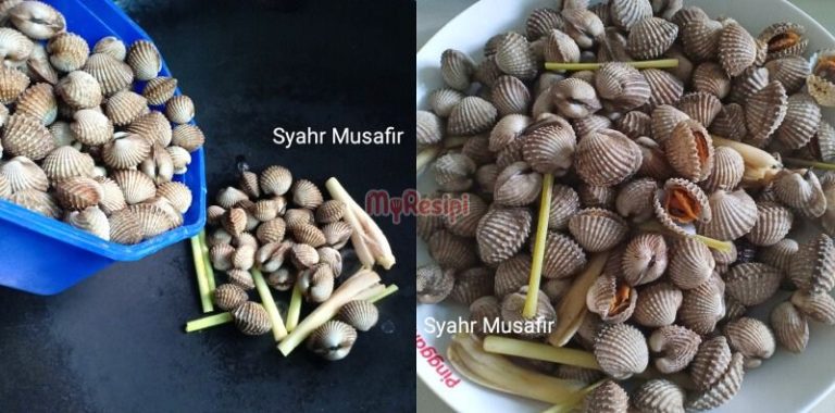 Cara Rebus Kerang Tanpa Guna Air, Isi Jadi Lembut & Tak Berair