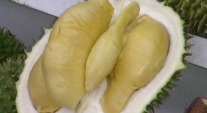 Jenis Durian Yang Popular Di Malaysia, Nombor 3 Paling Banyak Pemin...