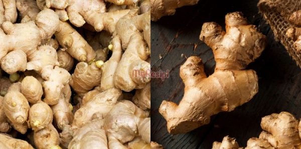 Jenis Halia Perlu Anda Tahu, Setiap Jenis Berbeza Fungsi Dalam Masakan