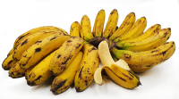 Jenis Pisang Yang Ada Di Malaysia, No. 7 Paling Sedap Untuk Digoreng!