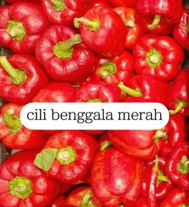 Kenali Jenis Cili Benggala Yang Ada Di Pasaran, Banyak Khasiatnya!