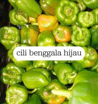 Kenali Jenis Cili Benggala Yang Ada Di Pasaran, Banyak Khasiatnya!