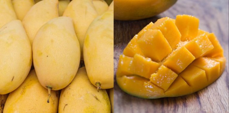 Cara Pilih Mangga Yang Ranum, Manis & Lazat. Memang Berkesan!