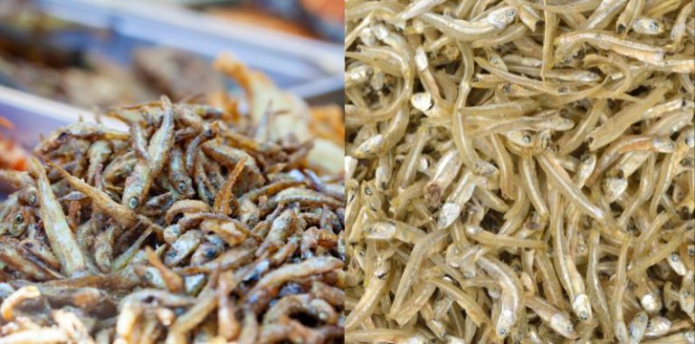Tips Pilih Ikan Bilis Yang Berkualiti Tinggi, Baru Lagi Sedap Bila ...