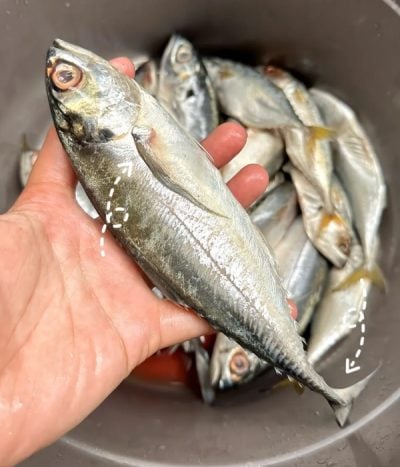 Menyiang Ikan Cara 'Newbie', Tutorial Sesuai Untuk Yang Baru Ke Dapur!