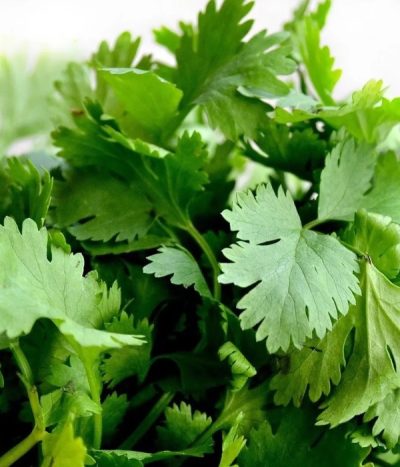 Jenis Daun Yang Buat Masakan Beraroma, Kena Kenal Sebelum Kahwin!