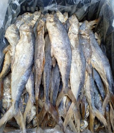 Jenis Ikan Kering Yang Popular Sebab Sedap, Tak Boleh Makan Selalu!