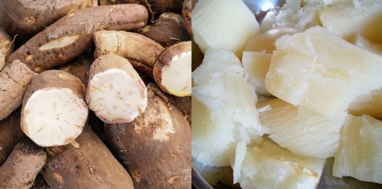Cara Pilih Ubi Kayu Yang Cepat Empuk Setelah Rebus, Wajib Ada Ciri 'Ini'