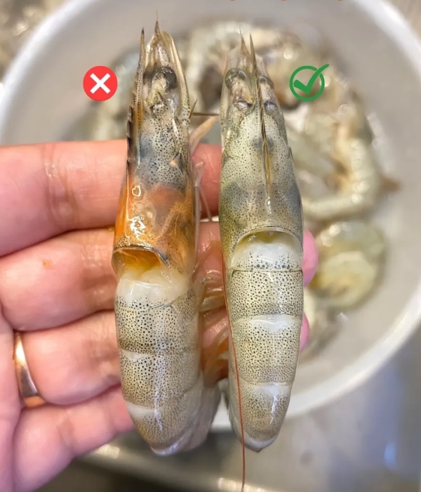Cara Pilih Udang Segar Supaya Tak Lembik Selepas Masak, Ada 3 Ciri 'Ini'