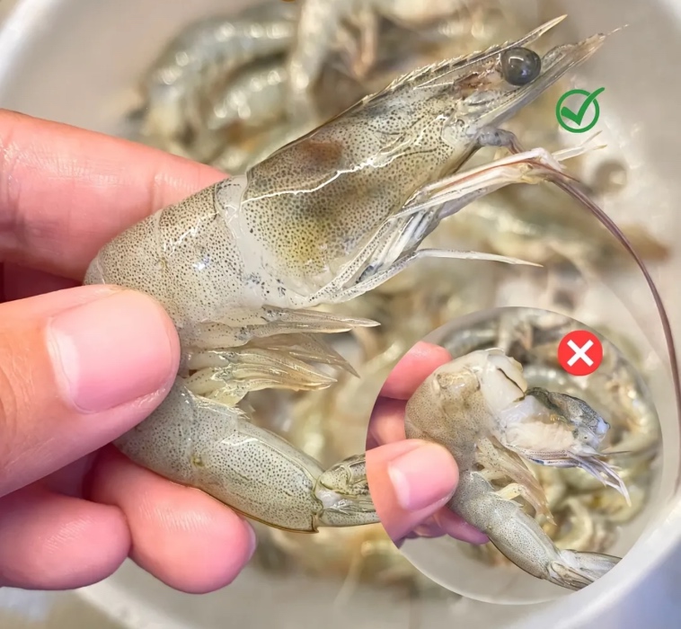 Cara Pilih Udang Segar Supaya Tak Lembik Selepas Masak, Ada 3 Ciri 'Ini'