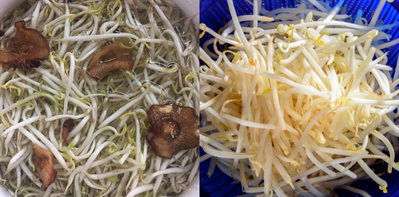 Sayur Tauge Lebam & Hitam, Ini Cara Segarkan Supaya Putih Berseri!
