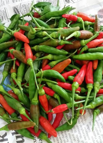 Cili Padi Merah & Hijau Tahan Lebih 2 Minggu, Cuba Petua Simpan Ini