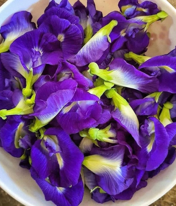 Air Bunga Telang Selasih, Warna Lembut & Cantik Tersimpan Satu Rahsia