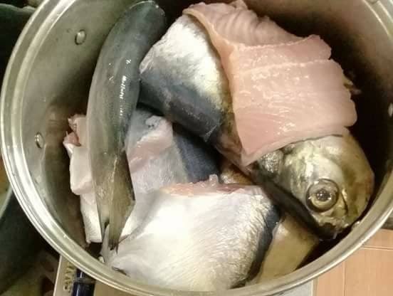 Ikan Parang Banyak Tulang, Ikut Petua Ini Baru Senang Nak Makan!