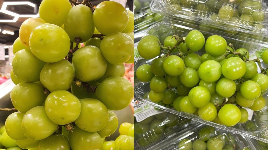 Anggur Shine Muscat Betul Ke Berbahaya, Ini Jawapan Dari KKM