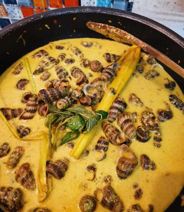 Cara Bersihkan Siput Sedut Dengan Betul, Bersih Tanpa Lendir & Lumpur
