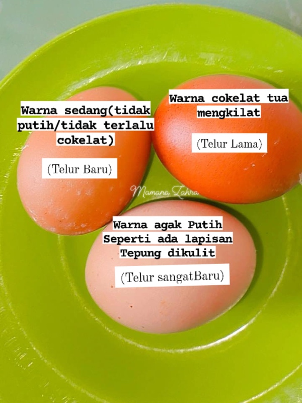 Cara Memilih Telur Segar, Kenal Pasti Telur Baru Atau Lama