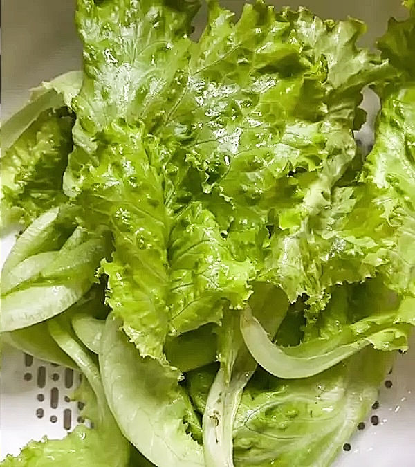 Cara Segarkan Daun Salad Yang Layu Paling Berkesan