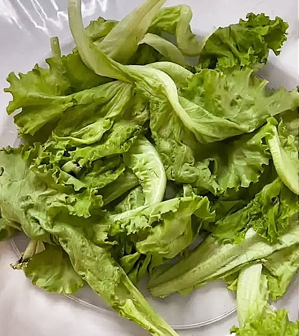 Cara Segarkan Daun Salad Yang Layu Paling Berkesan, Kekal Hijau & Segar ...