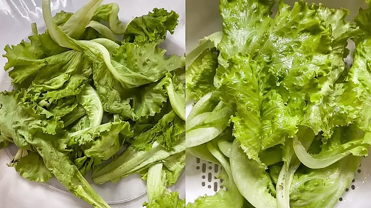 Cara Segarkan Daun Salad Yang Layu Paling Berkesan, Kekal Hijau & Segar ...