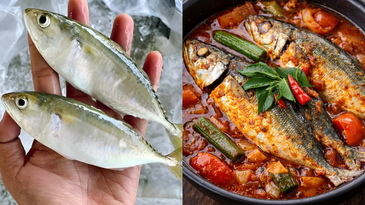 Beza Ikan Kembung, Mabong & Pelaling, Saiz, Isi Dan Cara Masak Sedap