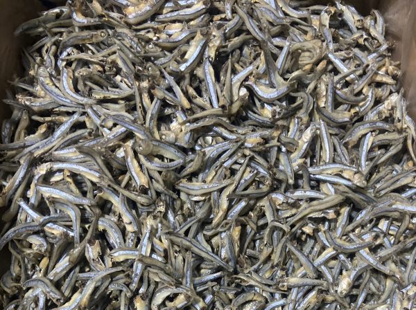 Ikan Bilis Segar, Cara Pilih Supaya Sambal Tak Pahit Lagi