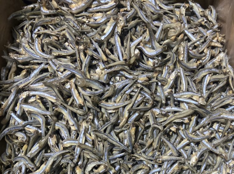 Ikan Bilis Segar, Cara Pilih Supaya Sambal Tak Pahit Lagi