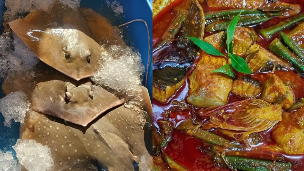 Jenis Ikan Pari Paling Sedap & Tak Hancing Untuk Pelbagai Masakan