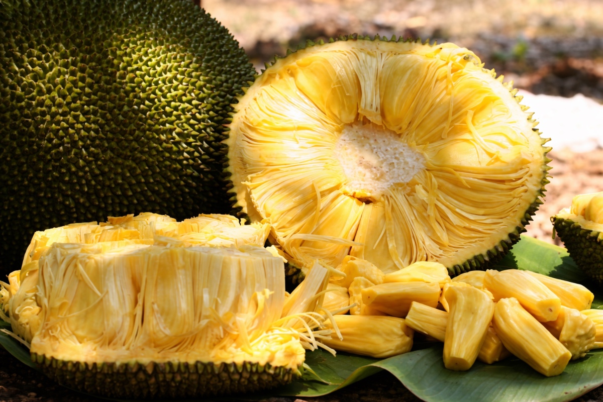 Beza Cempedak Dan Nangka, Perbezaan Saiz, Isi, Rasa Dan Aroma