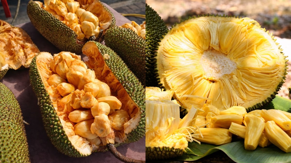 Jenis Buah Naga Rupanya Ada Banyak, Warna Dan Rasa Pun Berbeza