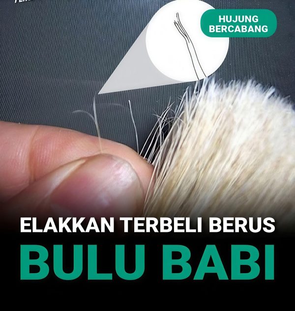 Berus Bulu Babi, Kenali Ciri-Ciri Supaya Masakan Selamat & Halal
