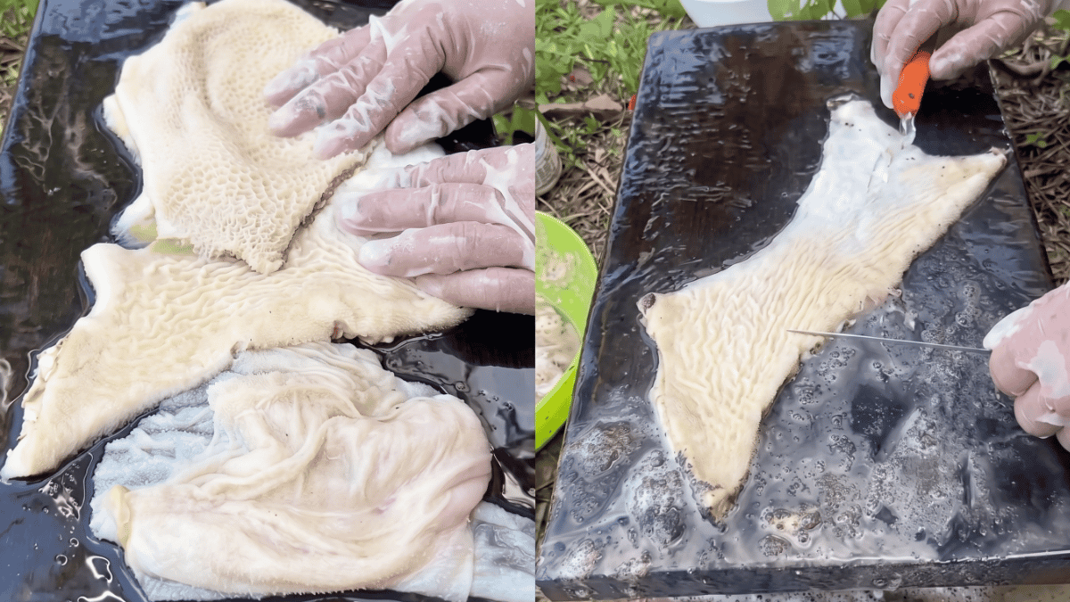 Air Daun Durian Belanda, Rupanya Ada 7 Khasiat Tersembunyi
