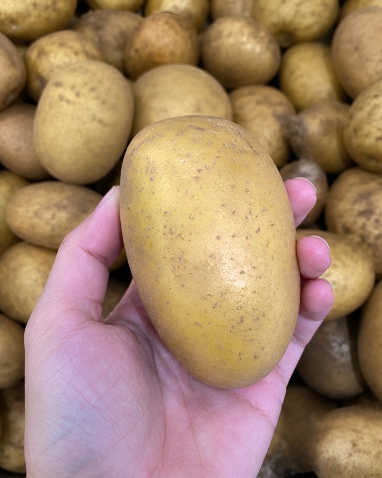 Cara Pilih Kentang Segar di Pasar Elak Silap Beli Kentang Rosak